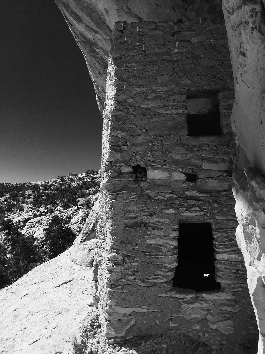 Wild Dwellings - Bristlecone Firesides